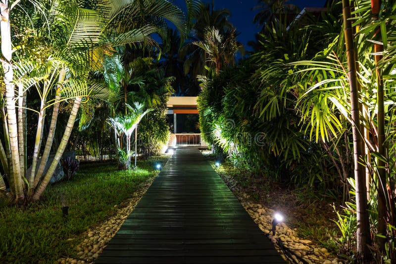 Night Lighting in Tropical Garden. Stock Image - Image of bright ...