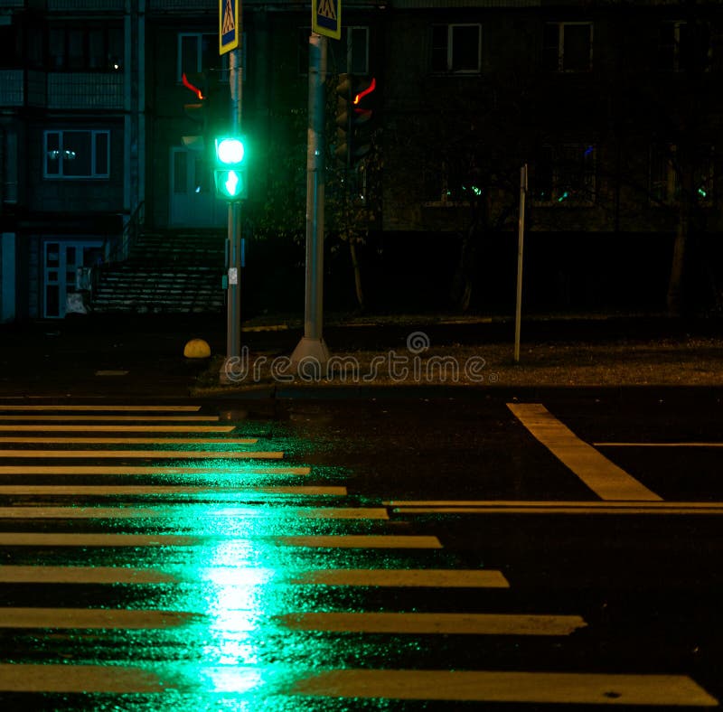 Night Metropolis at Night. Pedestrian Crossing and a Burning Green ...