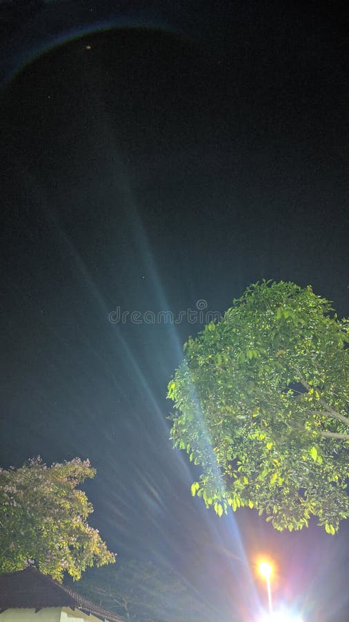 Night Mode with Camera Flare Stock Photo - Image of grass, light: 198009028