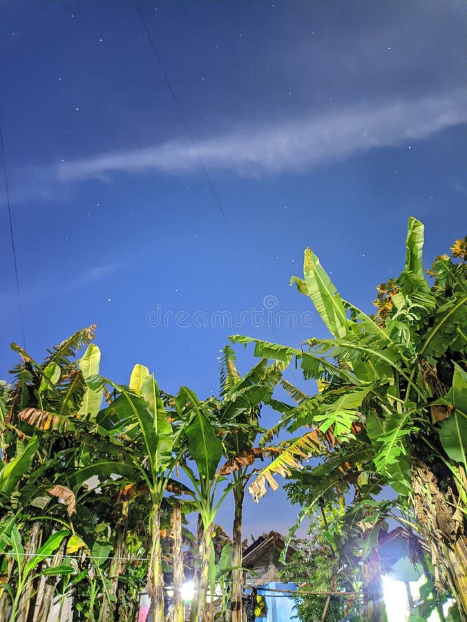 Night mode in village stock photo. Image of village - 261812540