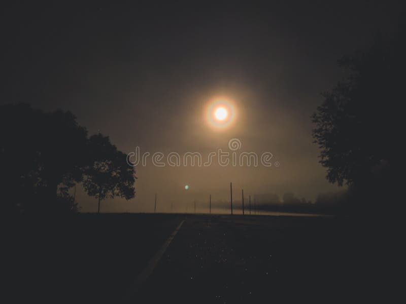 Night moon dark smog trees stock image. Image of night - 221215331