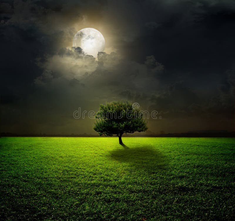 Night and the moon stock image. Image of astronomy, midnight - 32611463
