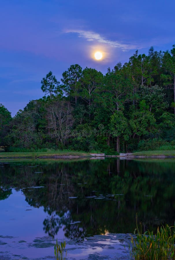Moonlight Midnight Pond Stock Photos - Free & Royalty-Free Stock Photos ...