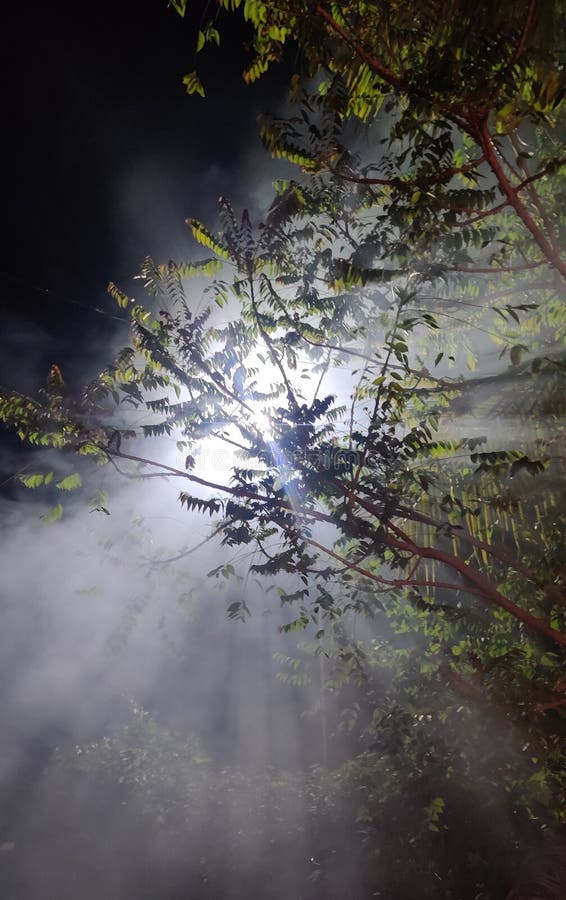 Night Moon and Smoke Effect Stock Image - Image of effect, beauty ...