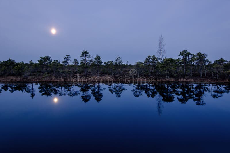 Moon Reflection in Swamp stock image. Image of national - 157681025