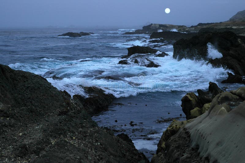 Night Ocean stock photo. Image of coastline, botanical - 961442
