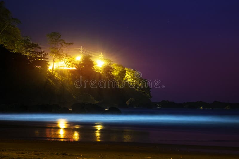 Night Ocean stock photo. Image of coastline, botanical - 961442