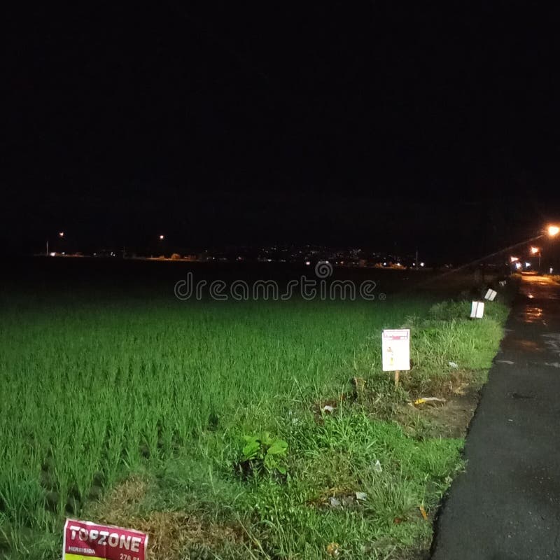 Night, paddy, road stock image. Image of night, evening - 238636549