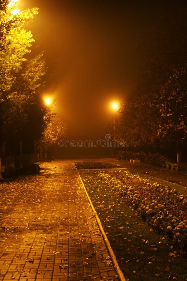 In night park stock photo. Image of avenue, lanterns - 12903340