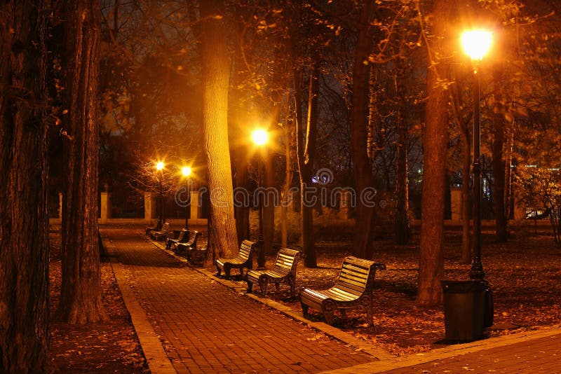Night in the park stock photo. Image of late, lantern - 27595840