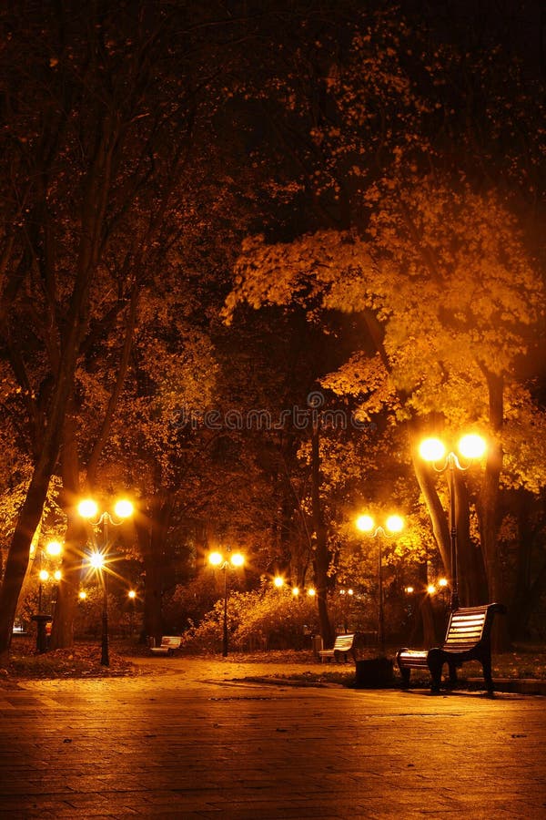 Night in the park stock image. Image of lamp, golden - 27595849