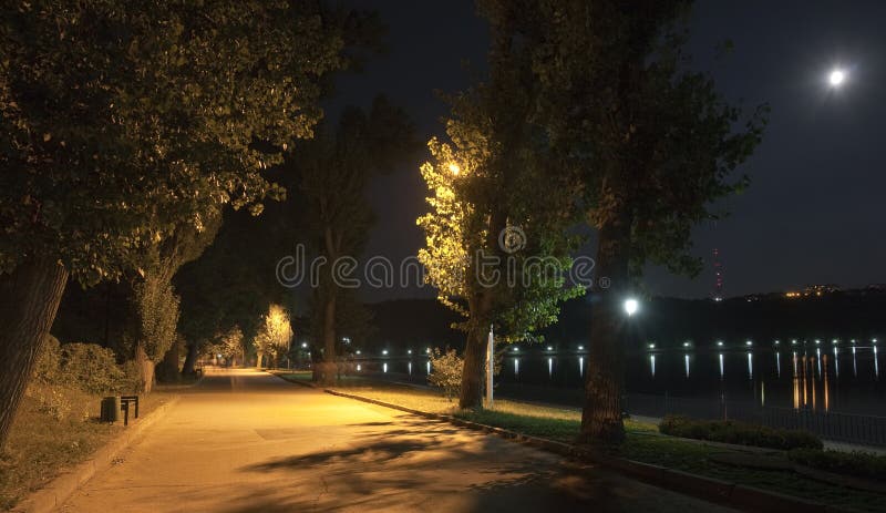 Night alley stock photo. Image of background, garden - 40053150
