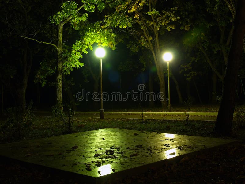 Night park with lights stock image. Image of forest, dark - 2018339