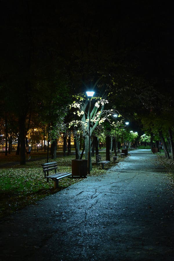 Night in park stock photo. Image of bucuresti, monument - 90830876