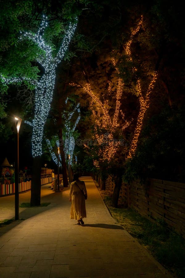 Night Park. Path and Trees with Illumination. an Unfamiliar Woman in ...