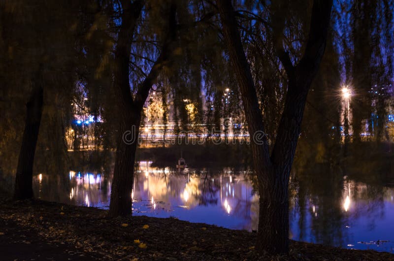 Night Park with a Pond in Autumn. Landscape with a Glowing Lanterns and ...