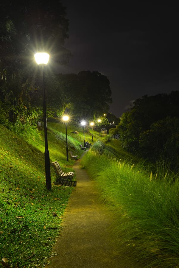 Night Park stock photo. Image of pathway, night, park - 35829162