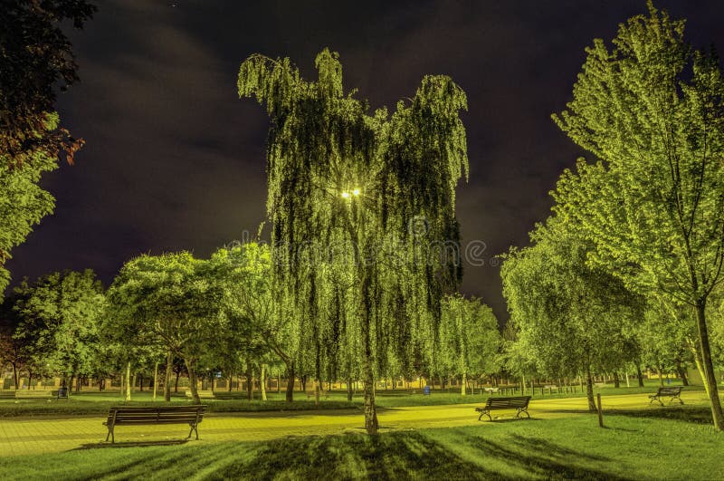 Night in the park stock photo. Image of lights, pamplona - 40947924
