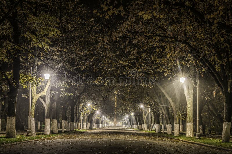 Night park view stock image. Image of lights, view, landscape - 47139631