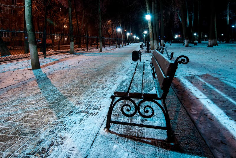 Night Park in Winter with Fallen Snow Stock Image - Image of night ...