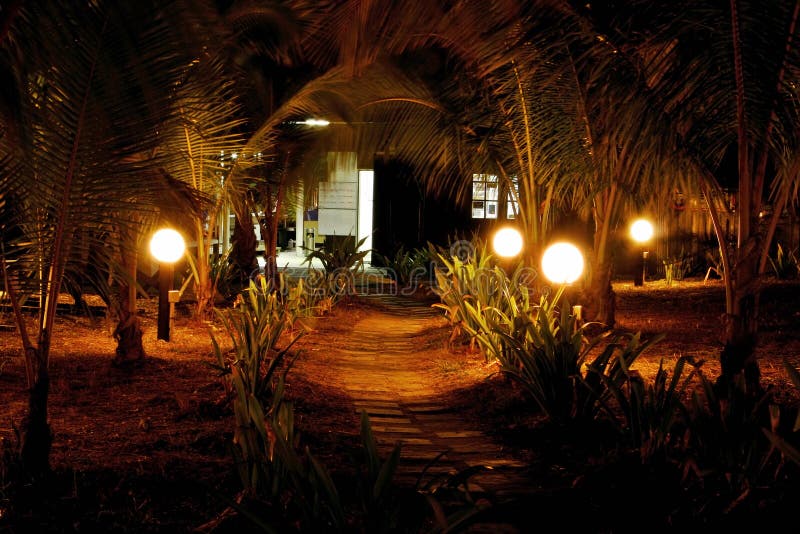 Night Path stock image. Image of path, resort, lights - 1067663