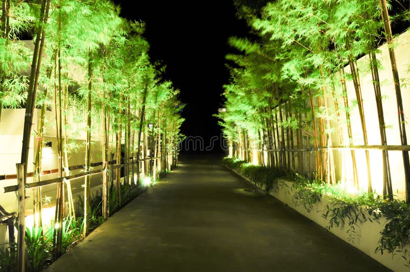 Lighted Path Bamboo Forest Night Stock Photos - Free & Royalty-Free ...