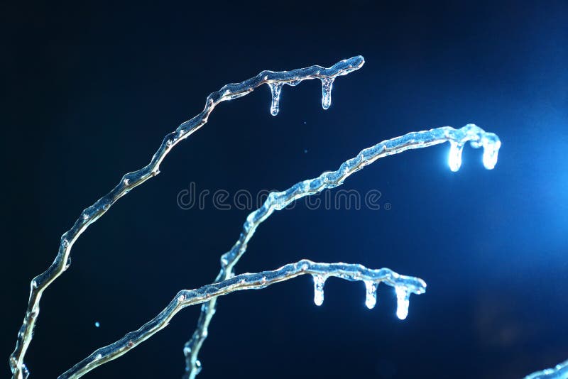 Night Photo of Blue Icycle Iced Branches Stock Photo - Image of boulder ...