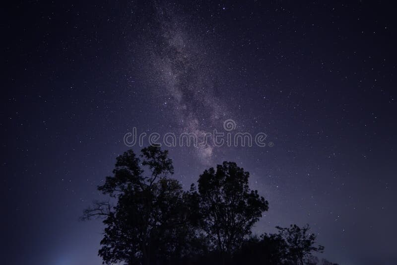 Night Photo. Tree and Milky Way, Stock Image - Image of tourism ...