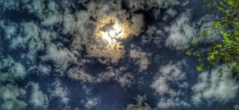 Night Photography Branches Cold Stock Photo - Image of screenshot ...