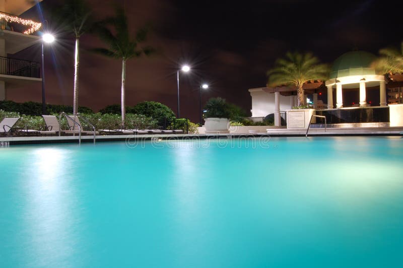 A Night at the Pool stock photo. Image of palm, bushes - 7720418