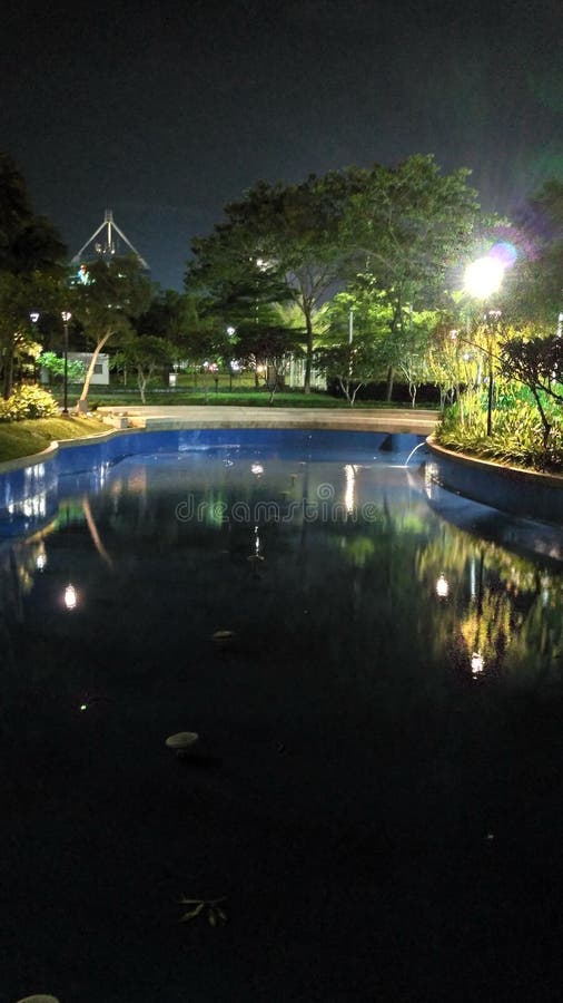Night pool park reflection stock image. Image of tree - 264307205