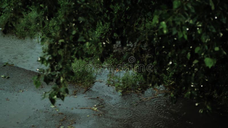 Night Rain. Beautiful Evening Rain and Light on Background of Blurred ...