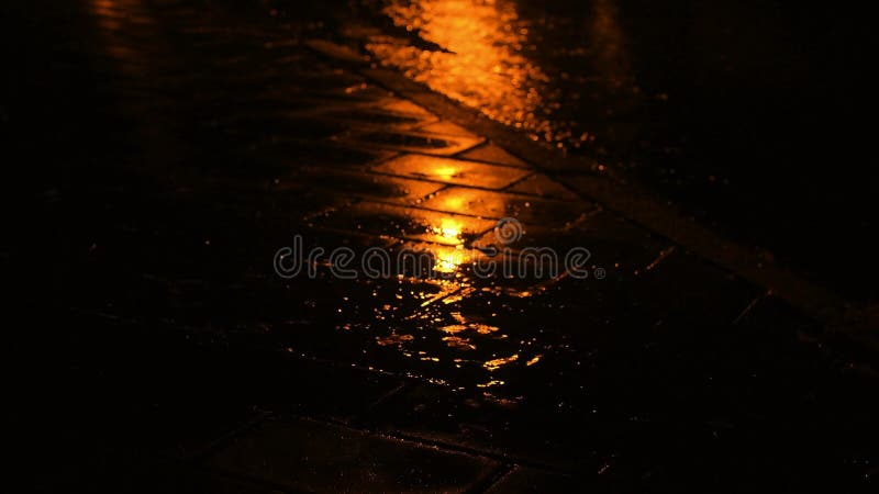 Night Rain and Raindrops Falling into a Puddle. Stock Footage - Video ...