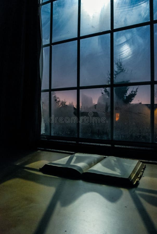Night Reading stock photo. Image of fascinating, tree - 47595892
