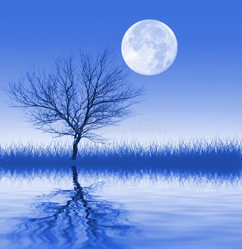 Night reflections stock photo. Image of reflection, nature - 4484268