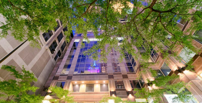 Night Reflections in City Skyscraper with Trees at Night Stock Image ...