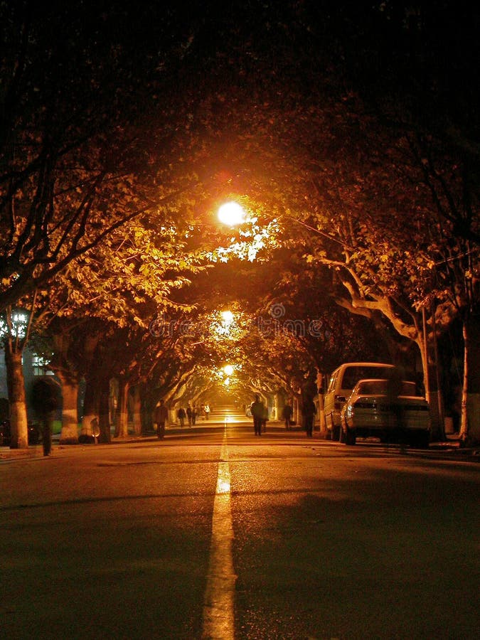 Night road stock photo. Image of midnight, empty, bricks - 4530686