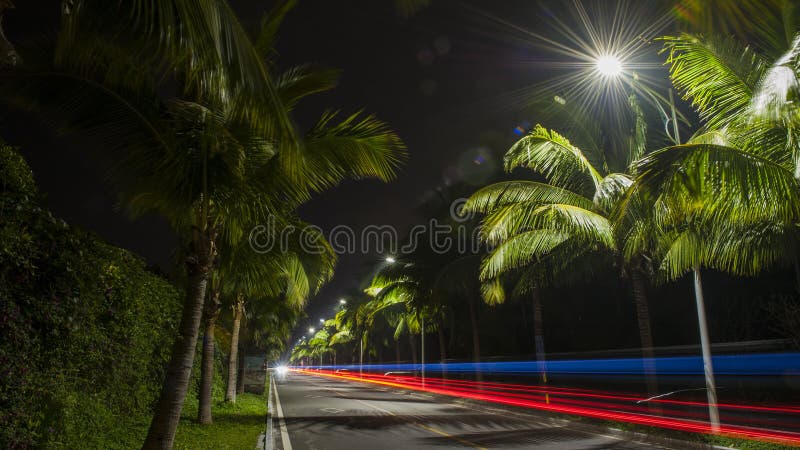 Palm Tree Highway Night stock image. Image of harbor, urban - 8458065
