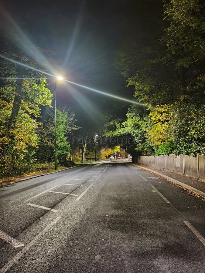 Night Road with Trees on the Side Stock Image - Image of trees, side ...