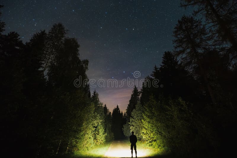 Night Scene, a Man in a Dark Forest with a Flashlight, Starry Sky, View ...