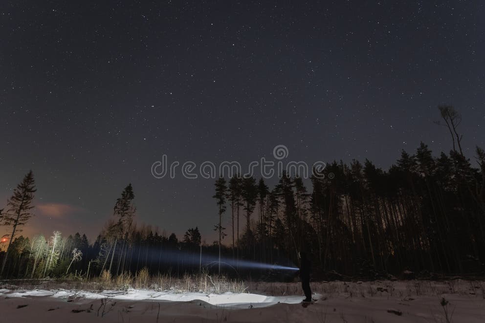 Night Scene, a Man with a Flashlight in the Winter Forest. Starry Sky ...
