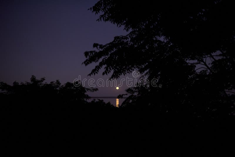 Night Scene, Moonlight Reflected on the Surface of a River, Silhouettes ...
