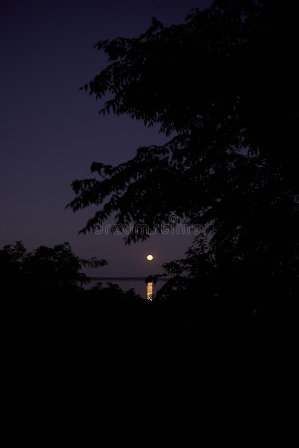 Night Scene, Moonlight Reflected on the Surface of a River, Silhouettes ...