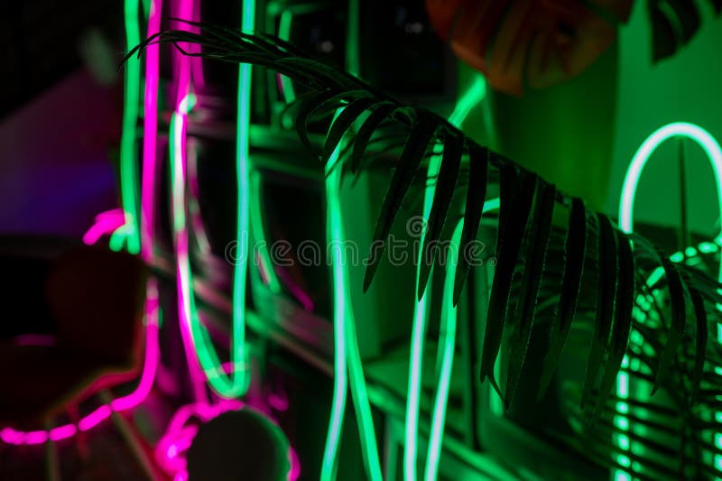 Broken Neon Tubes Stock Photos - Free & Royalty-Free Stock Photos from ...