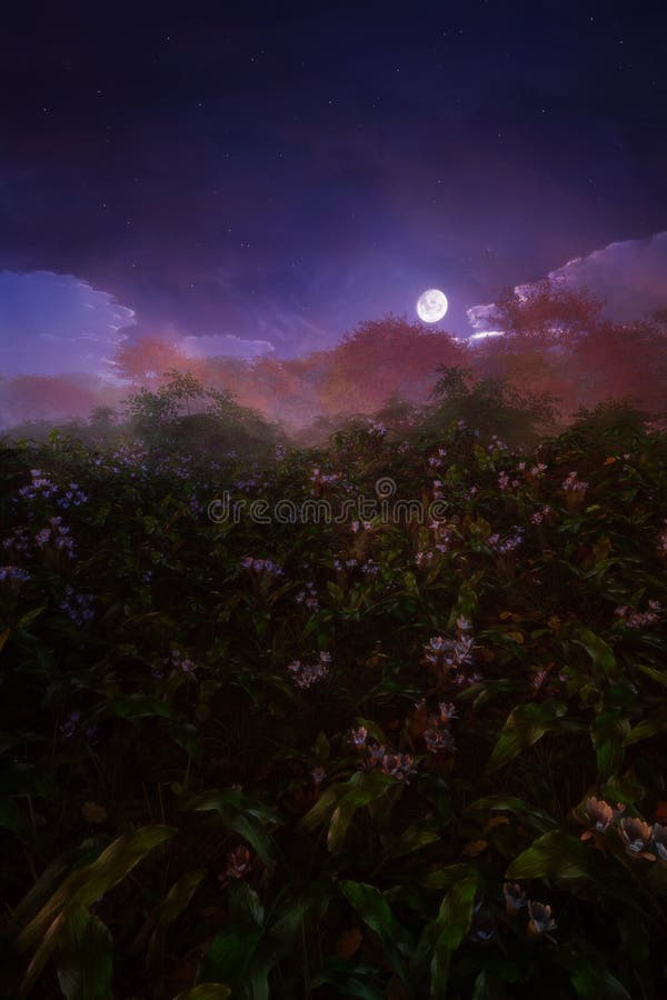 Night Scenery stock illustration. Illustration of flower - 26968979
