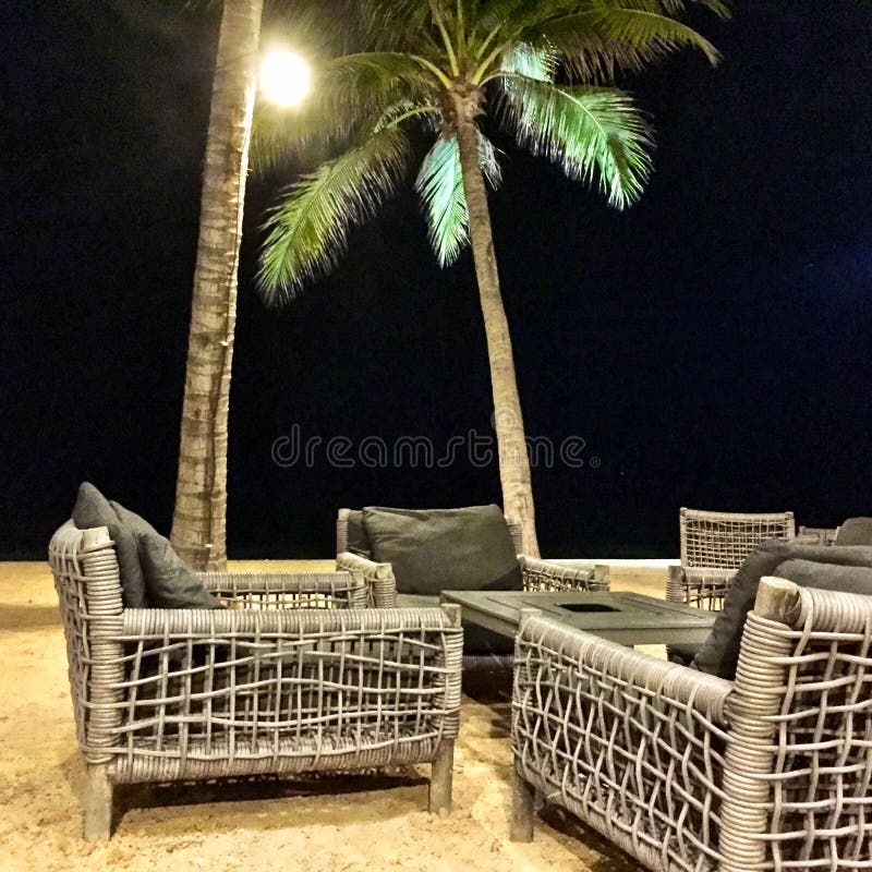 Night Scenes of Sea Side with Palm Tree Stock Photo - Image of side ...