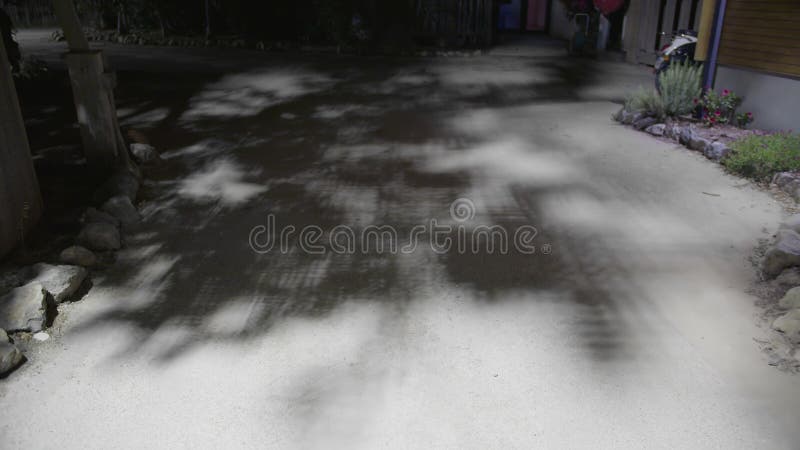 Night Shadows on Concrete Pathway Stock Footage - Video of natural ...