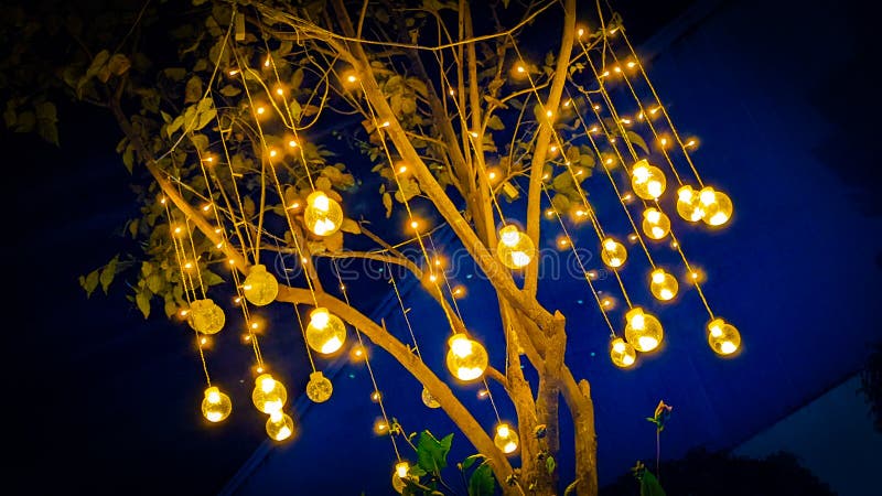 Night Shoot of Lighting on Tree Stock Image - Image of tree ...