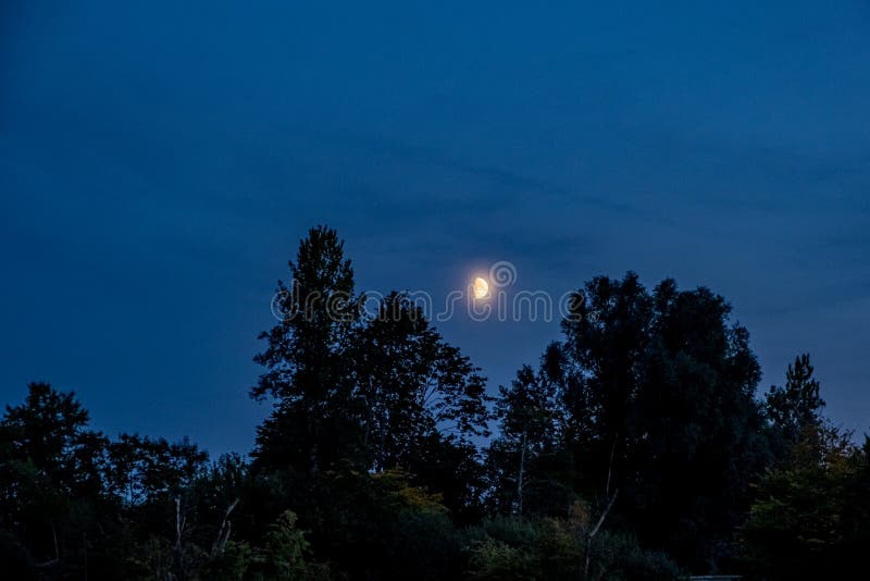 Nightshot of the moon stock photo. Image of green, beauty - 259554232