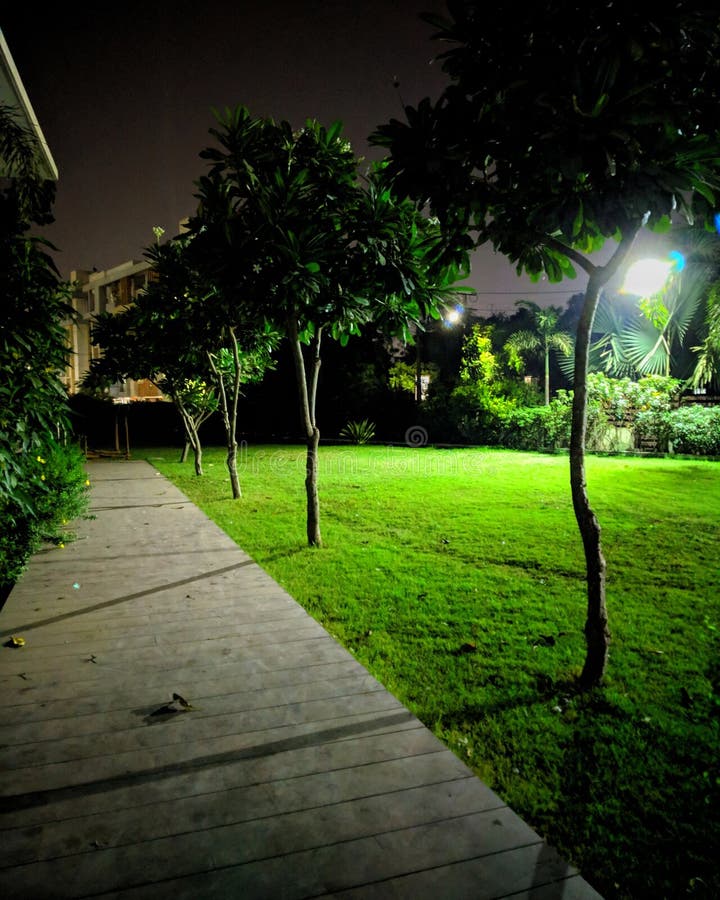 Night Sight Garden stock image. Image of night, pixel - 133598131